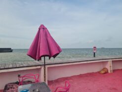 Pink Sand Batam: A Solo Photographer’s Guide to Bluefire Beach Club ...
